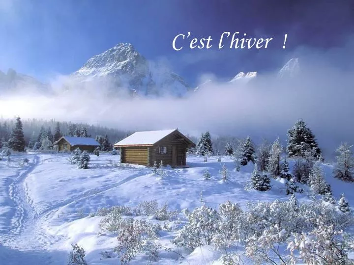 PPT - C’est l’hiver ! PowerPoint Presentation, free download - ID:7036300