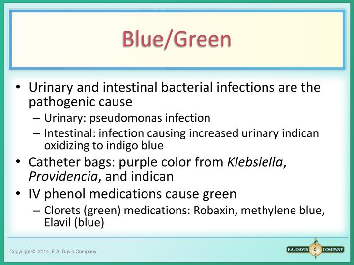 PPT - PHYSICAL EXAMINATION OF URINE PowerPoint Presentation - ID:7036624