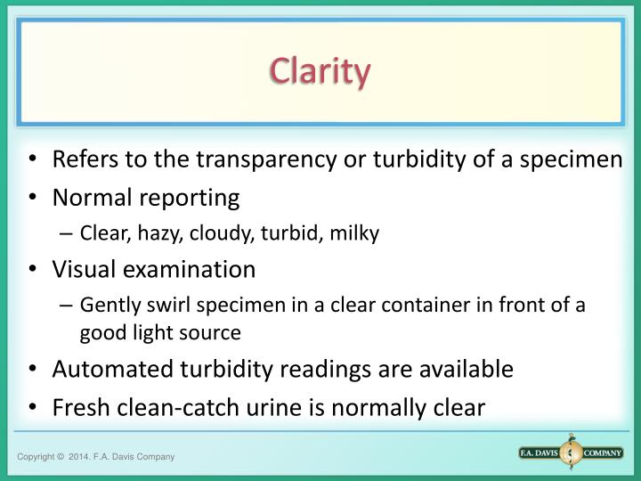 PPT - PHYSICAL EXAMINATION OF URINE PowerPoint Presentation - ID:7036624
