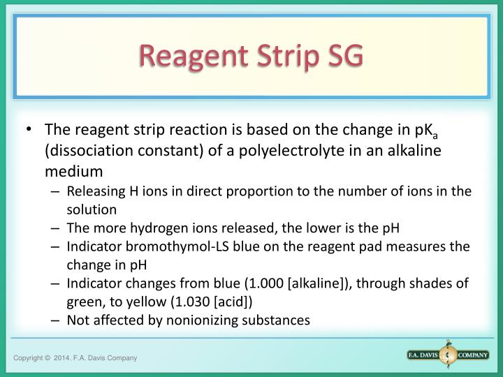 PPT - PHYSICAL EXAMINATION OF URINE PowerPoint Presentation - ID:7036624