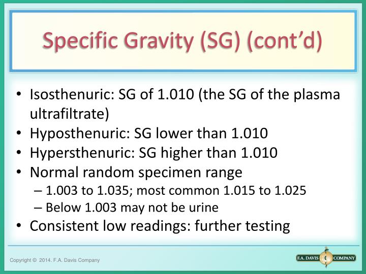 PPT - PHYSICAL EXAMINATION OF URINE PowerPoint Presentation - ID:7036624