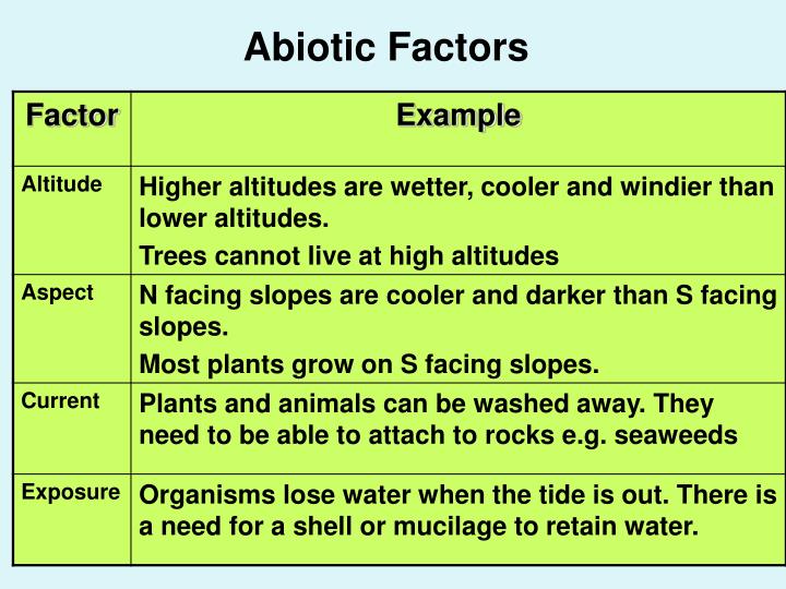 PPT - Ch 3 Introduction to Ecology PowerPoint Presentation - ID:7037264