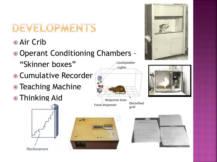PPT - B.F. Skinner and Edward Thorndike PowerPoint Presentation - ID ...
