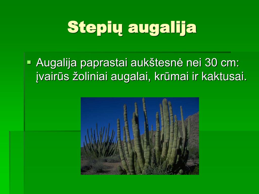 PPT - Vidutinių platumų augalija PowerPoint Presentation, free download ...