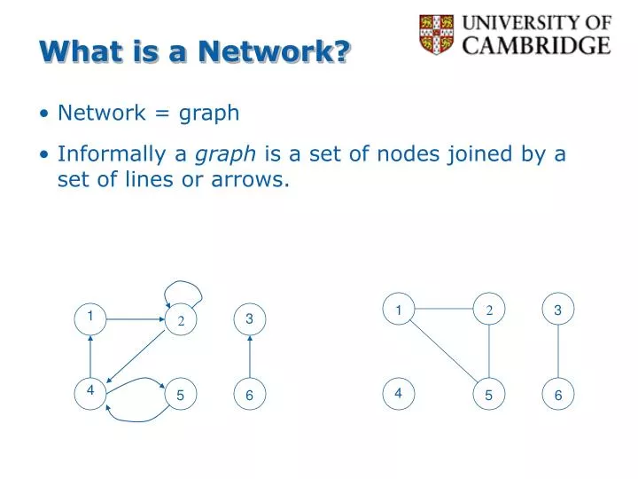 PPT - What is a Network? PowerPoint Presentation, free download - ID ...