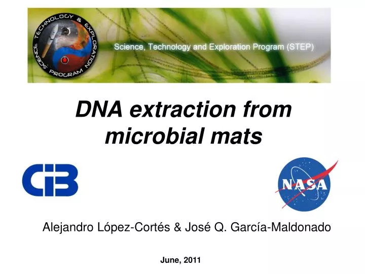 PPT - DNA extraction from microbial mats PowerPoint Presentation, free ...