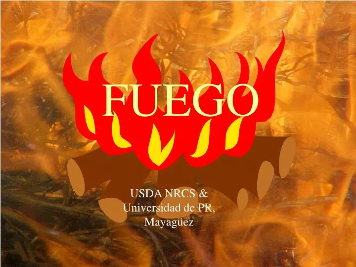 PPT - FUEGO PowerPoint Presentation, free download - ID:7040813