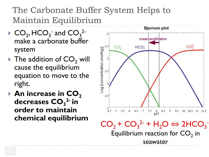 PPT - Ocean Acidification PowerPoint Presentation - ID:7042610
