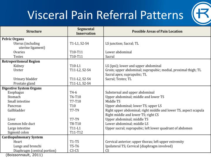 PPT - Differential Diagnosis of Lower Quarter Conditions PowerPoint ...
