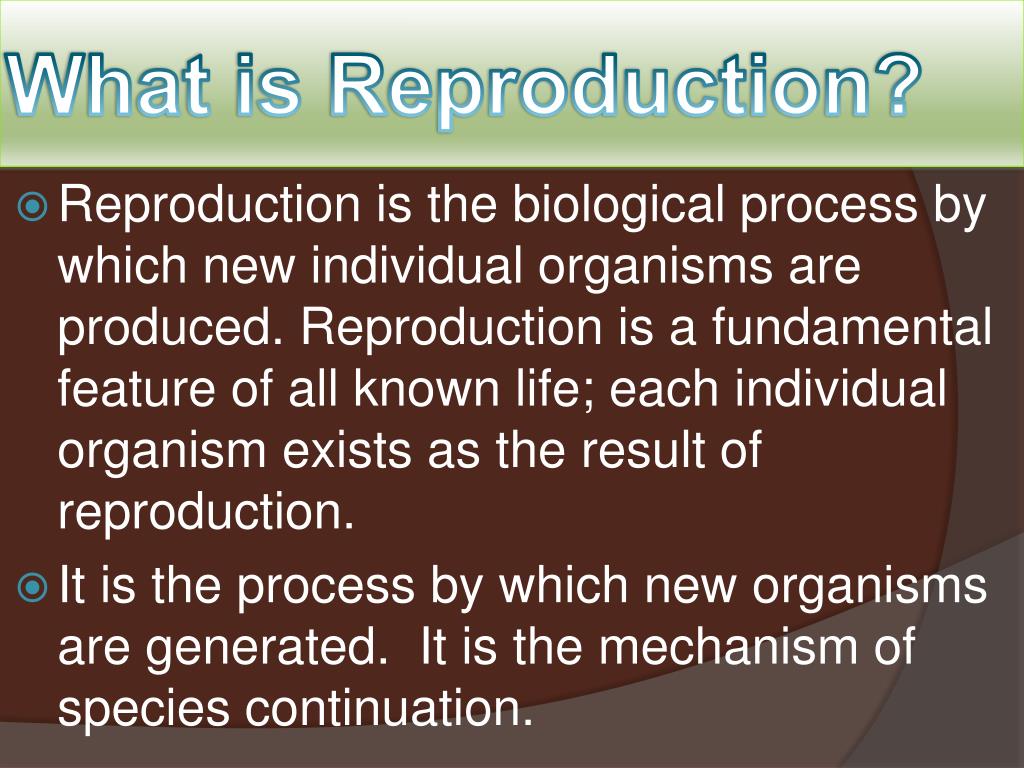 PPT - Human Male & Female Reproductive System PowerPoint Presentation ...