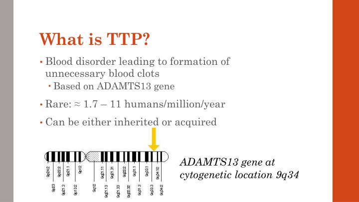 PPT - Thrombotic Thrombocytopenic Purpura ( TTP ) PowerPoint ...