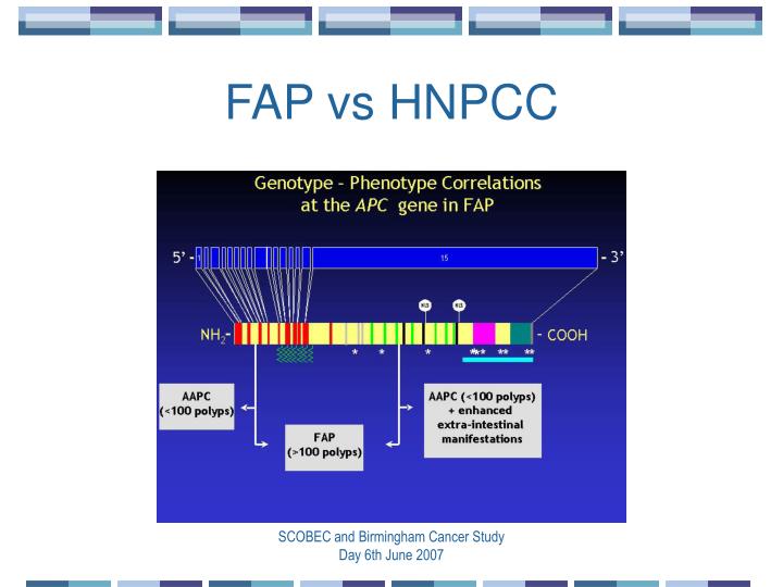 PPT - Microsatellite Instability (MSI) and Mutation Detection in HNPCC ...