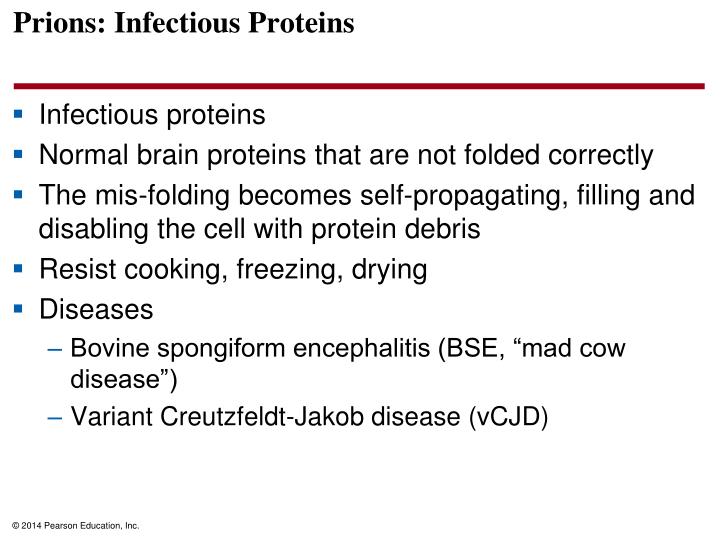 PPT - The Immune System and Mechanisms of Defense PowerPoint ...