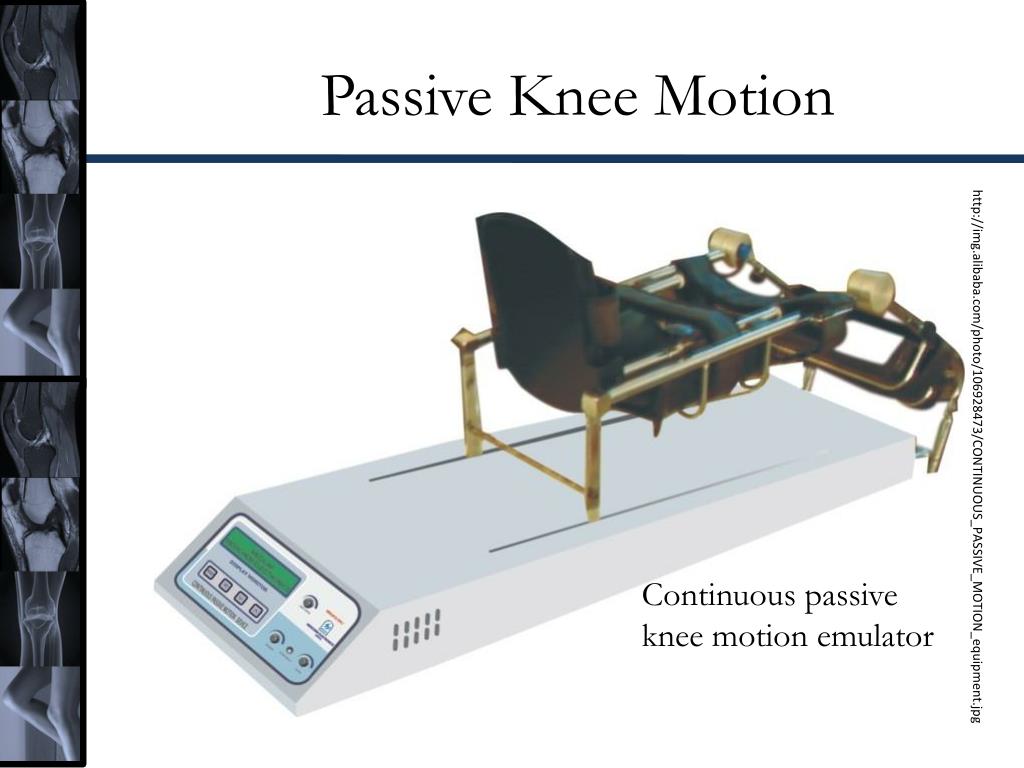 PPT - Team LEGS PowerPoint Presentation, free download - ID:7048099