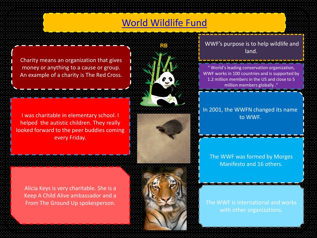 PPT - World Wildlife Fund PowerPoint Presentation, free download - ID ...