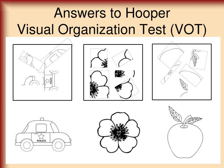 PPT - Cortical Structure and Function PowerPoint Presentation - ID:7048822