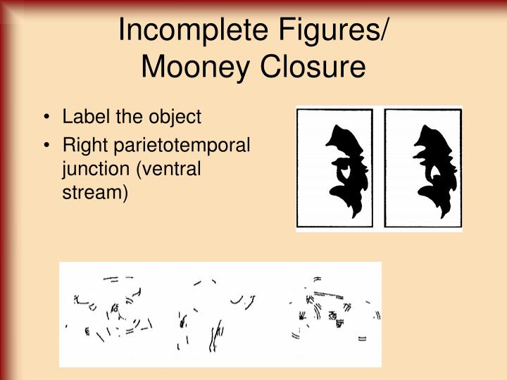 PPT - Cortical Structure and Function PowerPoint Presentation - ID:7048822