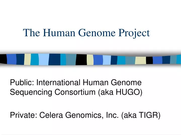 Ppt The Human Genome Project Powerpoint Presentation Free Download