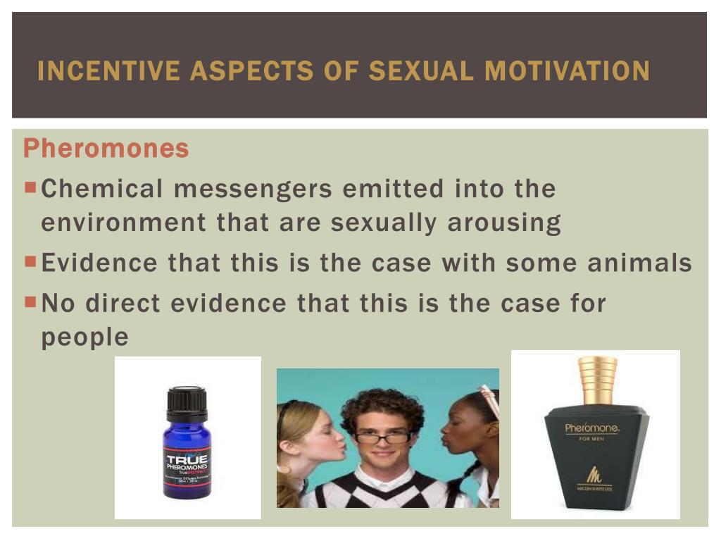 Ppt Chapter 6 Incentive Motivation Powerpoint Presentation Free