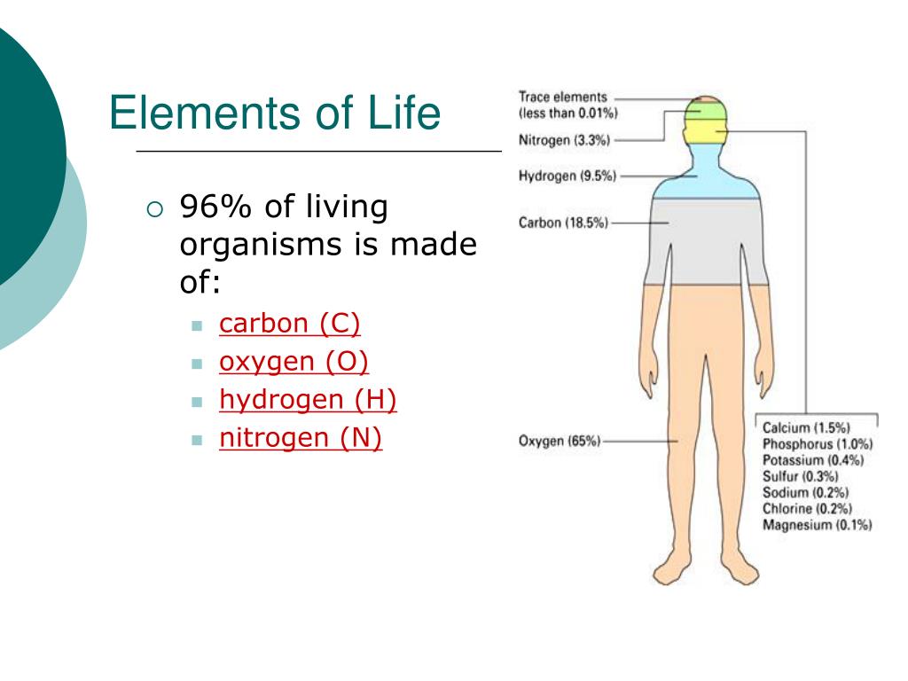 PPT - BIOCHEMISTRY Biochemical processes are chemical reactions that ...