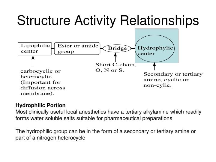 PPT - Structure Activity Relationships of Local Anesthetics PowerPoint ...