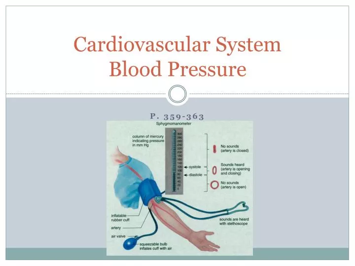 PPT - Cardiovascular System Blood Pressure PowerPoint Presentation ...