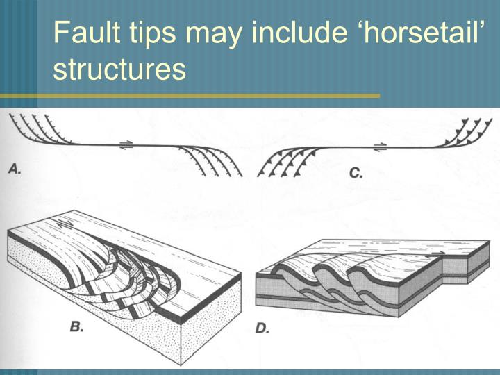 PPT - Deformation partitioning PowerPoint Presentation - ID:7058433