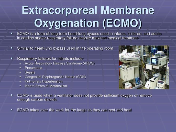 PPT - Measuring Neonatal Lung Volume PowerPoint Presentation - ID:7058520