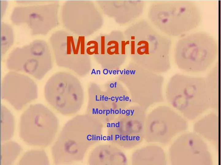 PPT - Malaria PowerPoint Presentation, free download - ID:7060974