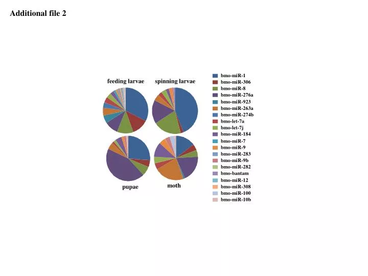 PPT - bmo-miR-1 PowerPoint Presentation, free download - ID:7061619
