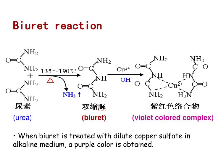 PPT - Estimation of Serum Total Protein PowerPoint Presentation - ID ...