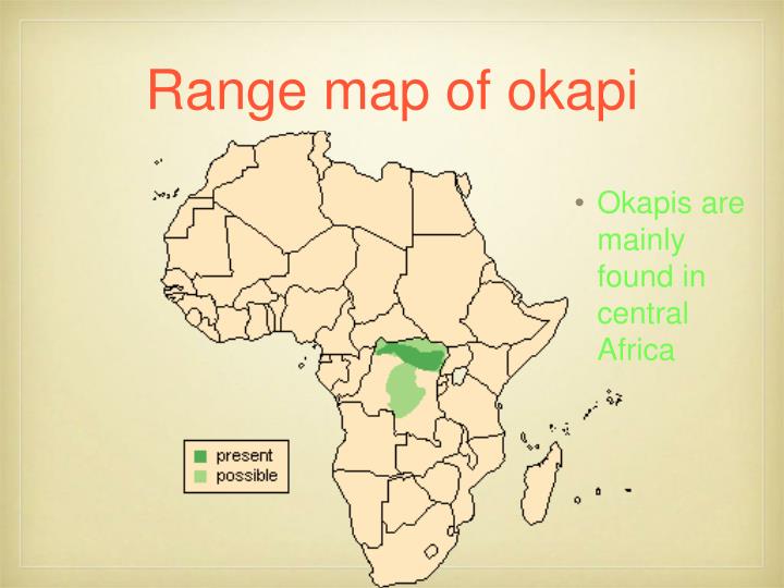 PPT - The Okapi PowerPoint Presentation - ID:7063204
