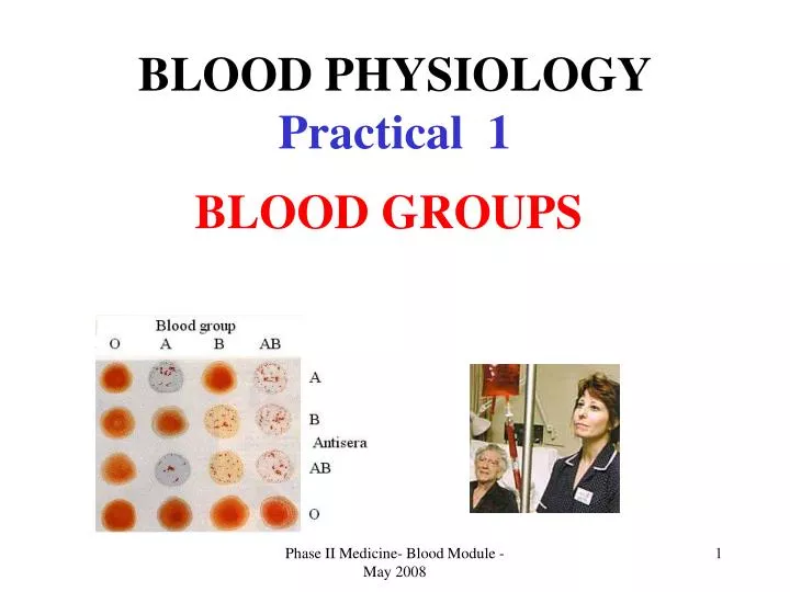 Ppt Blood Physiology Powerpoint Presentation Free