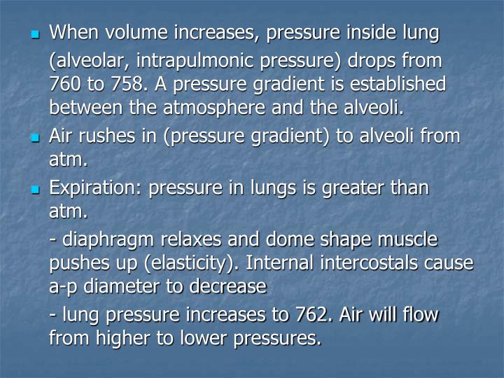 PPT - RESPIRATORY PHYSIOLOGY Anatomy review PowerPoint Presentation ...