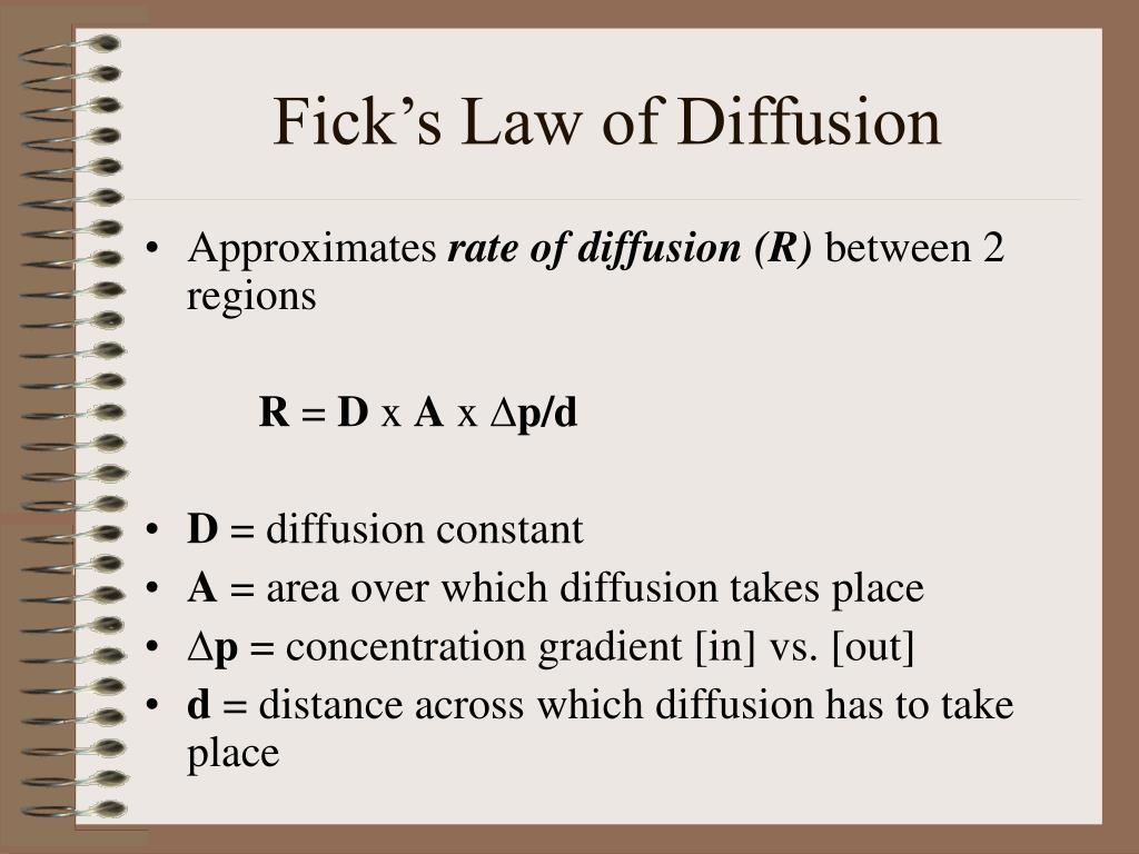 PPT - Animal Respiration PowerPoint Presentation, free download - ID ...