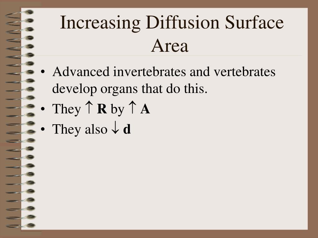 PPT - Animal Respiration PowerPoint Presentation, free download - ID ...