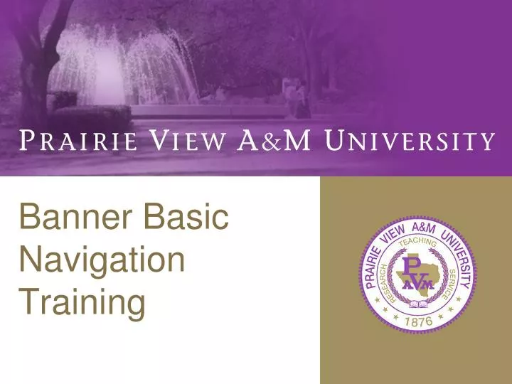 PPT - Banner Basic Navigation Training PowerPoint Presentation, free ...