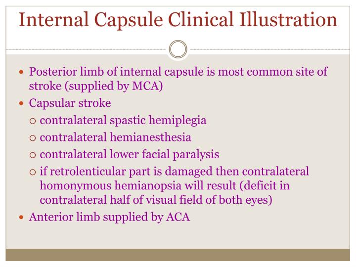 PPT - White Matter Of Cerebrum PowerPoint Presentation - ID:7070975