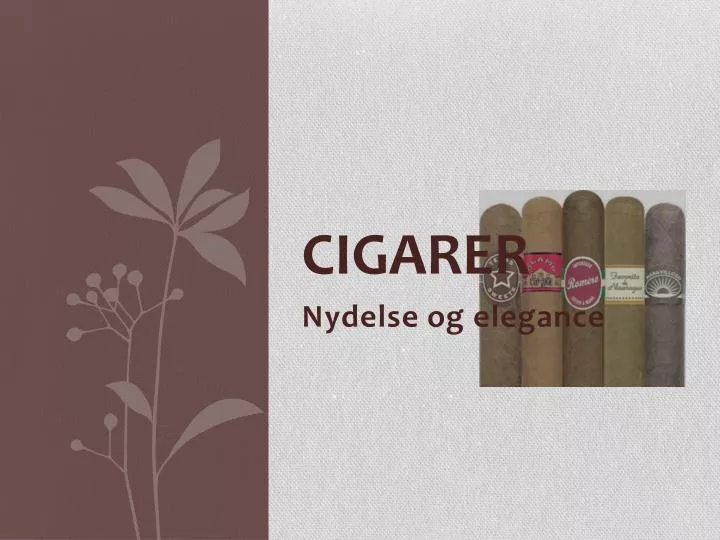 PPT - Cigarer PowerPoint Presentation, free download - ID:7071729
