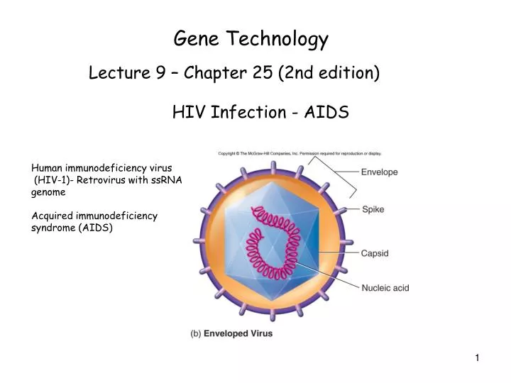 PPT - Gene Technology PowerPoint Presentation, free download - ID:7072654