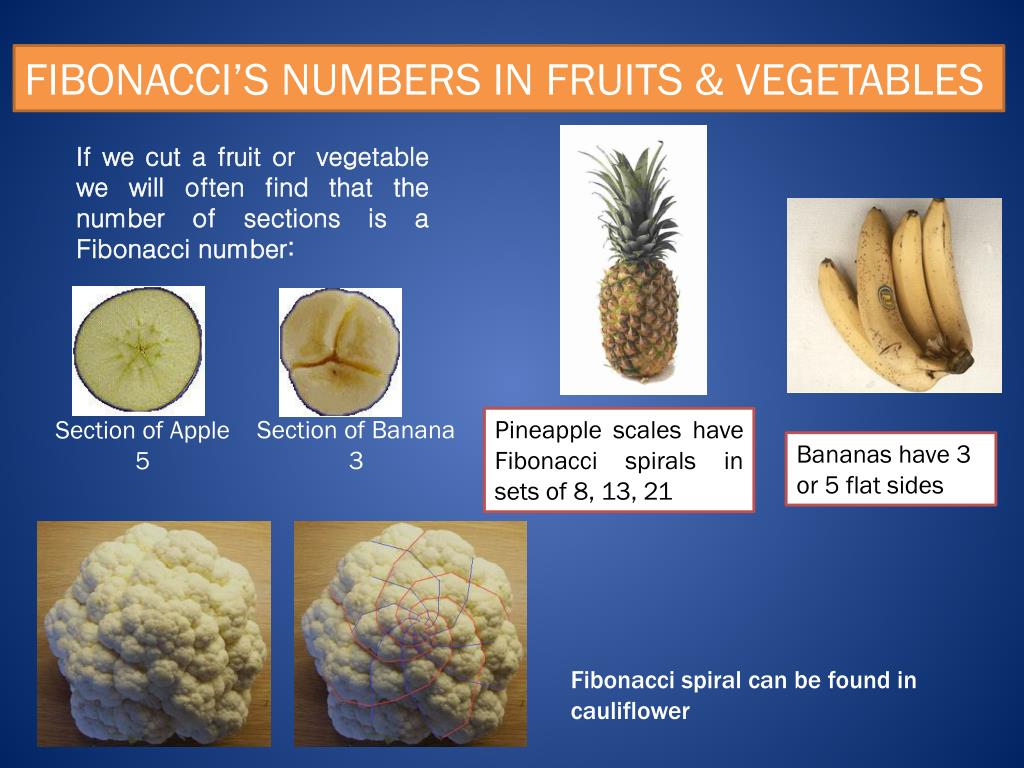 PPT FIBONACCI NUMBERS PowerPoint Presentation Free Download ID 7075589 PPT FIBONACCI NUMBERS PowerPoint Presentation Free Download ID 7075589