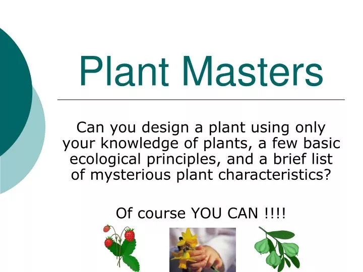PPT - Plant Masters PowerPoint Presentation, free download - ID:7076593