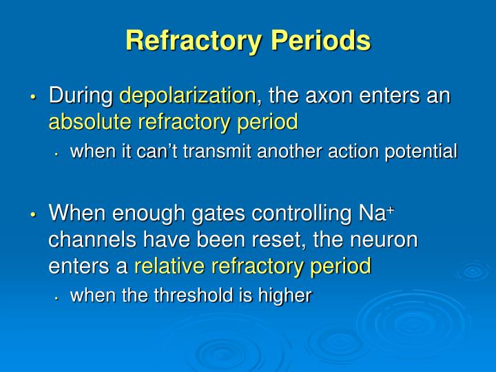 PPT - Neural Signaling PowerPoint Presentation - ID:7076617