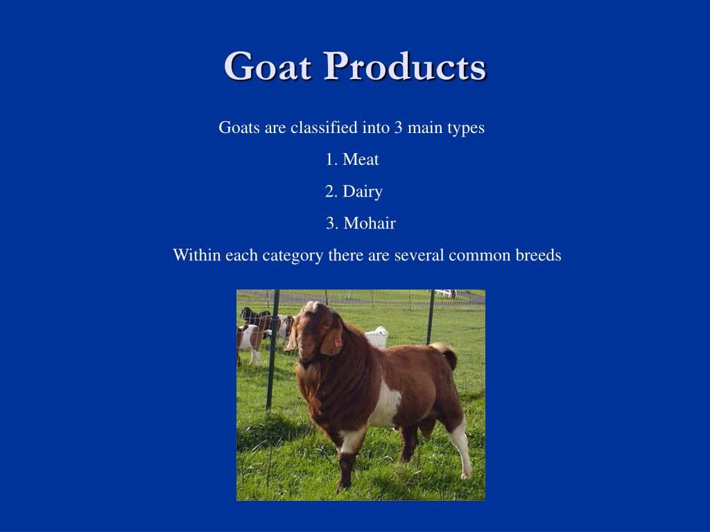 PPT - Goat Industry An Overview of the Goat Industry in Georgia ...