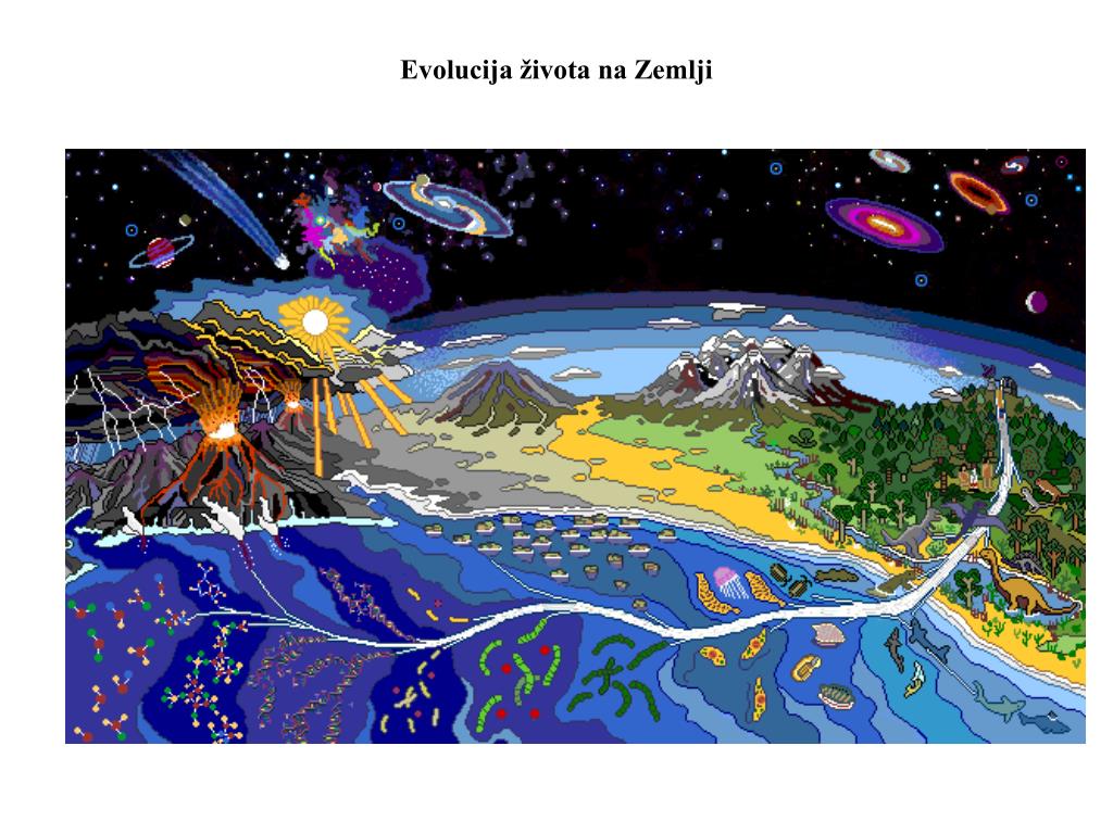PPT - Evolucija života na Zemlji PowerPoint Presentation, free download ...