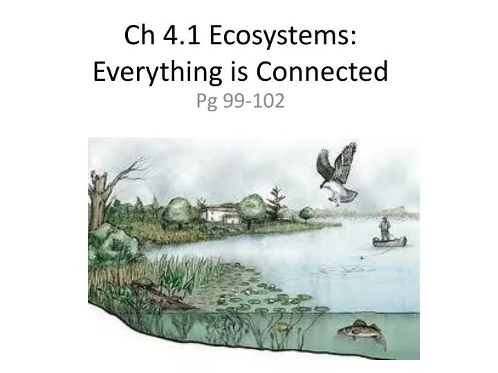 PPT - Ch 4.1 Ecosystems: Everything is Connected PowerPoint ...