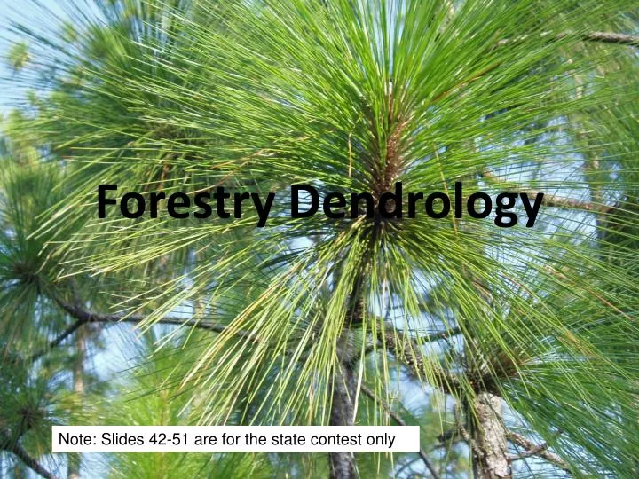 PPT - Forestry Dendrology PowerPoint Presentation, free download - ID ...
