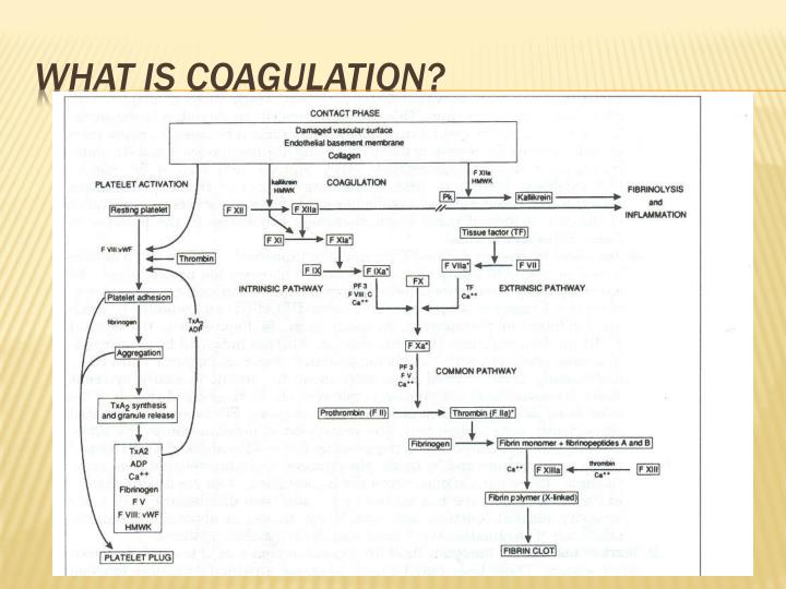 PPT - THROMBOELASTOGRAPHY PowerPoint Presentation - ID:7081622