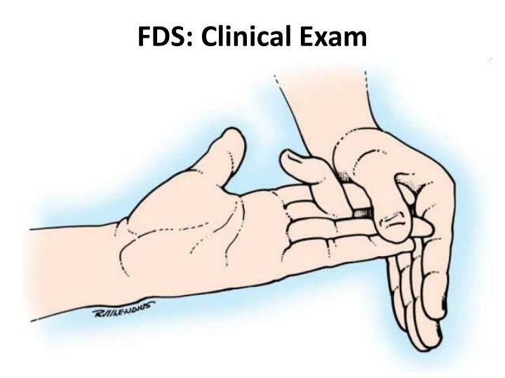 PPT - Cut Wrist & Flexor tendon injury PowerPoint Presentation - ID:7081690
