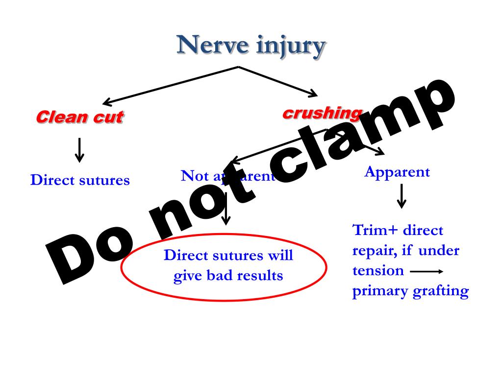 PPT - Cut Wrist & Flexor tendon injury PowerPoint Presentation, free ...